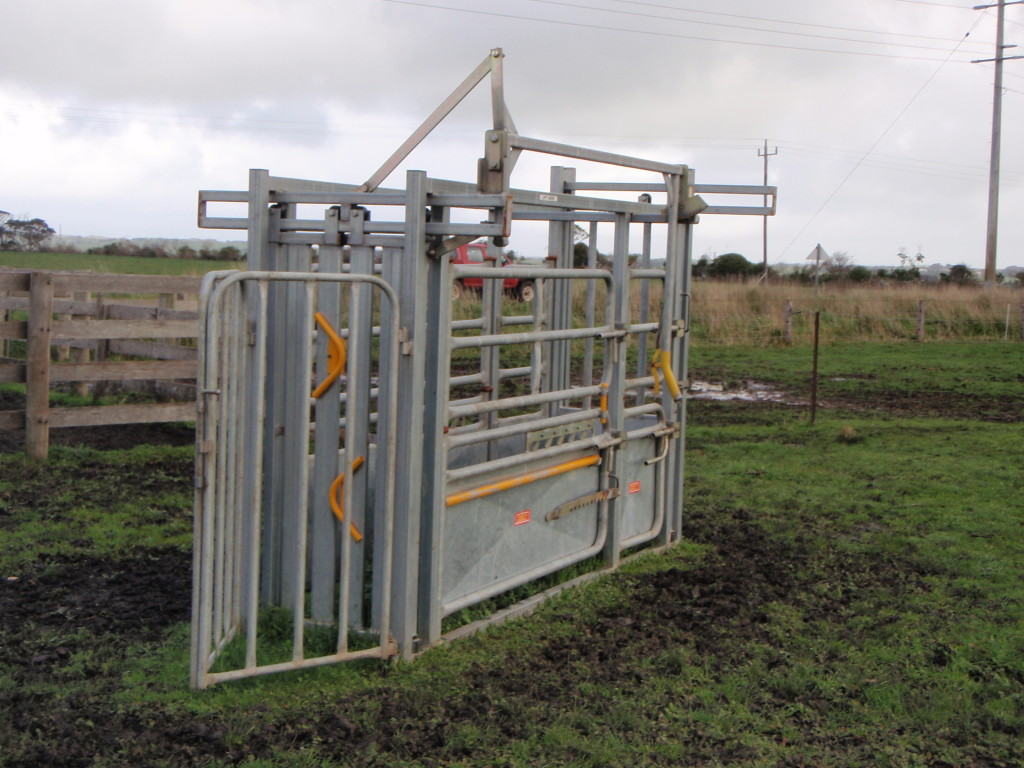 Cattle Crushes – My Cattle Vet
