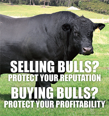 BULLCHECK™ Information – My Cattle Vet