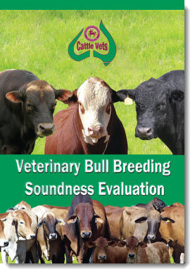 BULLCHECK™ – My Cattle Vet